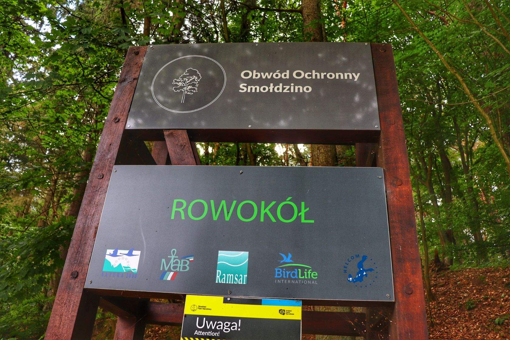 Rowokół wieża widokowa – Słowiński Park Narodowy – Szlakowe Inspiracje