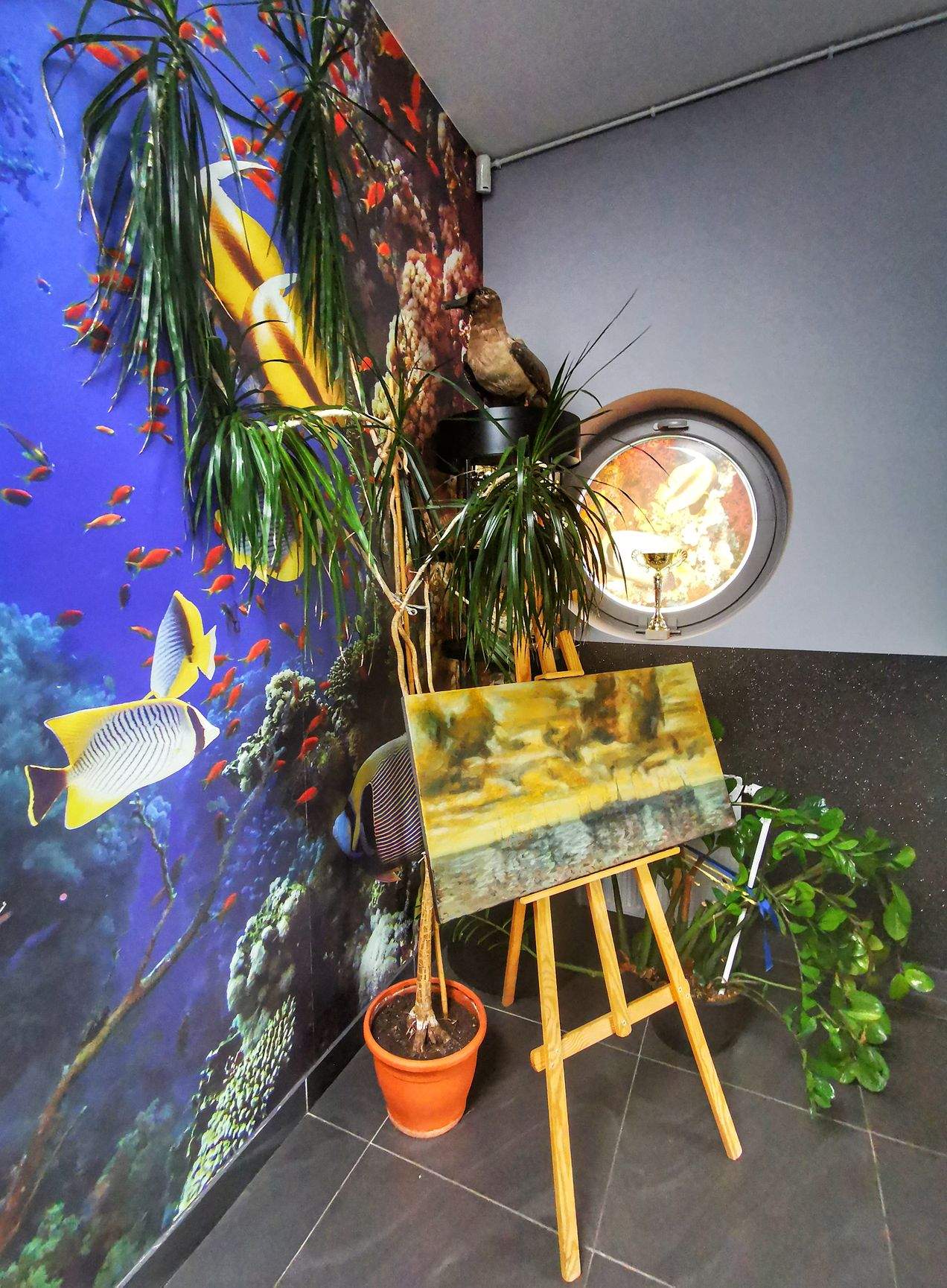 Muzeum Fauny i Flory w Jaworzu – Motylarnia Jaworze – Szlakowe Inspiracje